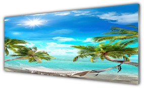 Plexisklo-obraz Tropické Palmy Hamaka Pláž 125x50 cm