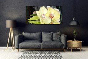 Plexisklo-obraz Okvětní Plátky Orchidej 120x60 cm