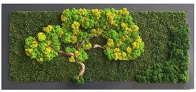 WOODILO Mechový obraz 113 | plochý a sobí mech | strom Rozměr obrazu: 100x100 cm, Barva rámu: Mahagon, Síla rámu (pohledová): 2,5 cm