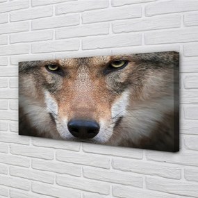 Obrazy na plátně wolf Eyes 125x50 cm