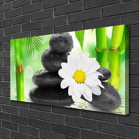 Obraz na plátně Bambus Kameny Zen Květ 100x50 cm