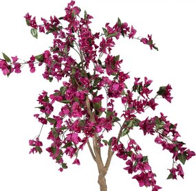 Stromek s růžovými květy Bougainvillea Tree - 100*100*150 cm