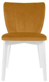 Jídelní židle STRAKOŠ DM67/W - bílá, RIVIERA 41