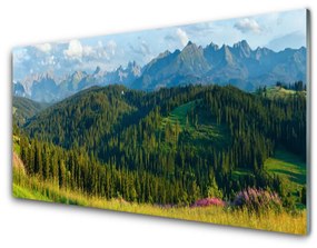 akrylový obraz Hora Les Příroda 140x70 cm