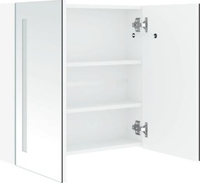 LED koupelnová skříňka se zrcadlem 60 x 14 x 62 cm 285125