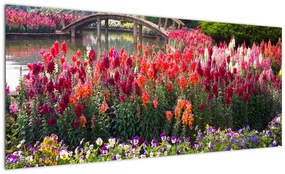 Obraz květinové zahrady (100x40cm)