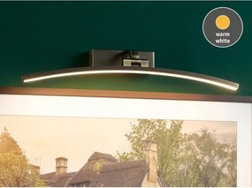 Paulmann 95561 - LED/10W Obrazové svítidlo BENTO 230V 50 cm mosaz