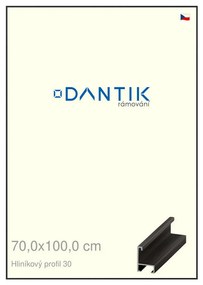 DANTIK rámeček 70x100 | ALU profil 6030 Černá matná (Plexi Čiré)