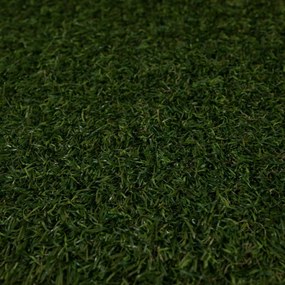 EUROPE GRASS Umělá tráva Riviera 45 BARVA: Zelená, ŠÍŘKA: 2 m