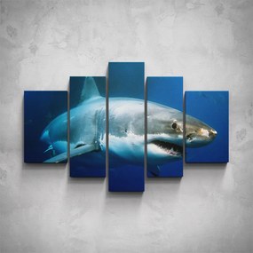 5-dílný obraz - Žralok - PopyDesign