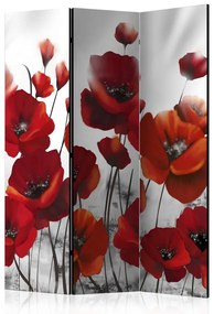 Paraván Poppies in the Moonlight Dekorhome 135x172 cm (3-dílný)