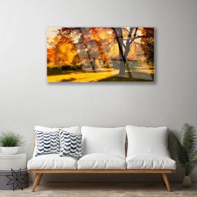 Obraz na skle Stromy Podzim Příroda 125x50 cm