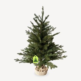 Smrk Přírodní 100 LED 90 cm