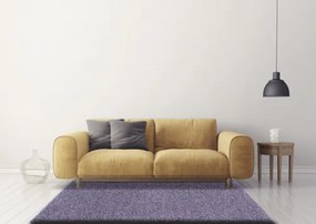 Koberce Breno Kusový koberec DOLCE VITA 01/LLL, Fialová, 67 x 110 cm