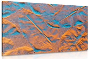 Obraz textura listů na písečné pláži - 60x40 cm