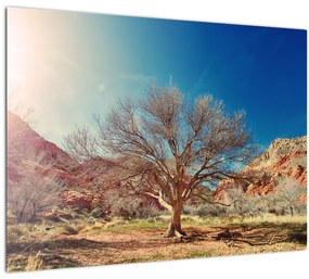 Skleněný obraz stromu v poušti (70x50 cm)