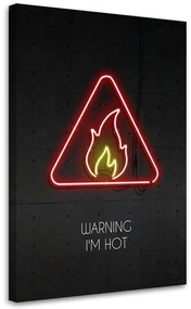 Gario Obraz na plátně Ohnivý neon - Rubiant Rozměry: 40 x 60 cm