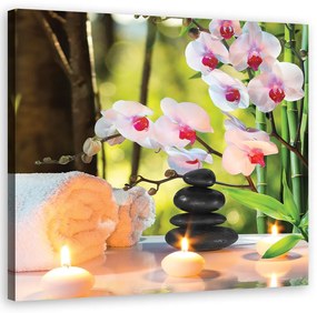 Obraz na plátně, Lázeňské svíčky a květy orchidejí - 50x50 cm