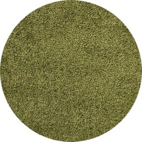 Kusový koberec Dream Shaggy 4000 Green kruh-120x120 (průměr) kruh