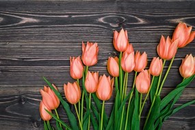 Samolepící fototapeta oranžové tulipány na dřevěném podkladu - 225x150 cm