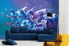 DIMEX | Samolepicí vliesová fototapeta na zeď Modré orchideje MA-5-1312 | 375 x 250 cm | modrá, červená