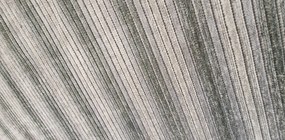 HU Šedý pruhovaný koberec Saloon Grey Rozměr: 50x80 cm