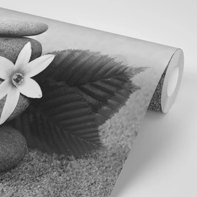 Samolepící fototapeta černobílé kameny v písku