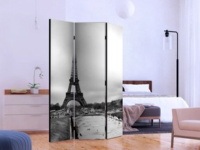 Pokojová zástěna Paříž: Eiffelova věž - černo-bílá krajina městské architektury v mlze