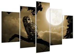 Obraz noční sovy (150x105 cm)