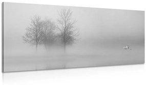 Obraz stromy v mlze v černobílém provedení