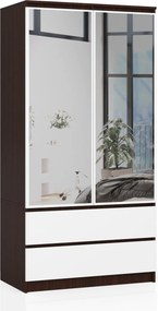 Šatní skříň S90 2D2SZ se zrcadlem wenge/bílá