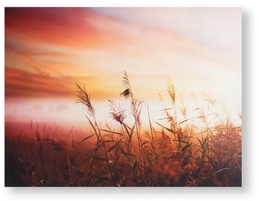 Tištěný obraz Ranní slunce 105888, Morning Sunrise Meadow, Wall Art, Graham & Brown
