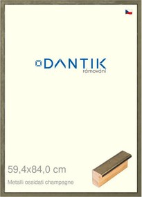 DANTIK rámeček 59,4x84 | Metalli oidati champagne (Plexi Čiré)