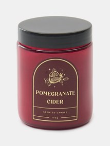 Sinsay - Vonná svíčka Pomegranate Cider - světle fialová