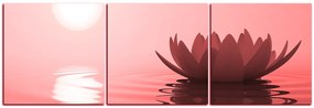 Obraz na plátně - Zen lotus - panoráma 5167CB (150x50 cm)