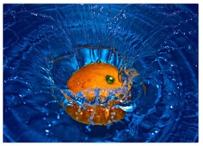 Obraz - pomeranč ve vodě (70x50 cm)