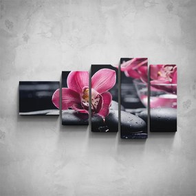 5-dílný obraz - Růžová orchidej - PopyDesign