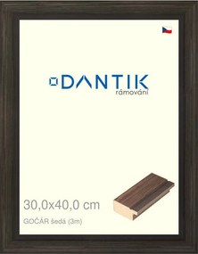 DANTIK rámeček 30x40 | Gočár šedá (Plexi Čiré)