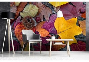 DIMEX | Samolepicí vliesová fototapeta na zeď Podzimní listí MA-5-0112 | 375 x 250 cm | vícebarevná