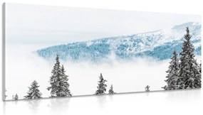 Obraz zasněžené borovicové stromy