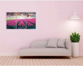 Malvis ® Obraz růžové moře Velikost: 120x60 cm