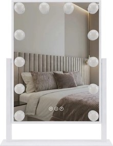 Rea Kosmetické zrcadlo 30x40 cm s regulovatelným LED osvětlením HOM-12023