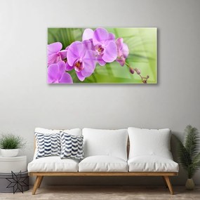 Obraz na skle Vstavač Orchidej Květiny 125x50 cm