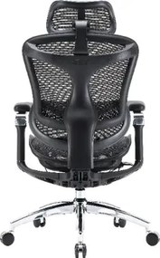 Sihoo DORO-C300-PRO černá / Kancelářská židle / síťovina