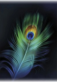 Obraz na plátně Peacock Eye
