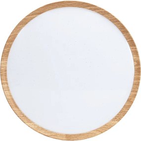 BRILAGI - LED Stropní svítidlo NATURA LED/20W/230V 4000K pr. 33,7 cm