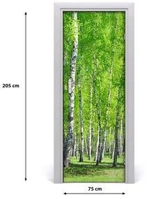 Fototapeta na dveře samolepící břízový les 75x205 cm