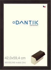 DANTIK rámeček 42x59,4 | WOODLINE hnědá (Plexi Čiré)