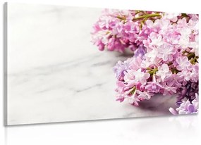 Obraz nádherné květiny na mramorovém podkladu - 120x80 cm