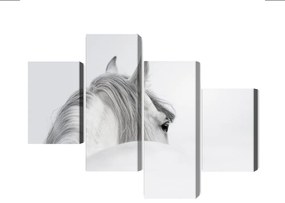 Vícedílný obraz Andaluský Kůň V Mlze Nedostatek Nedostatek Přírodní plátno 120x75